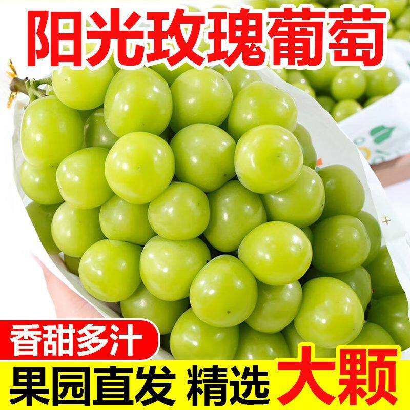 顺丰包邮阳光玫瑰葡萄晴王新鲜当季水果无籽香印青提子1/3/5斤