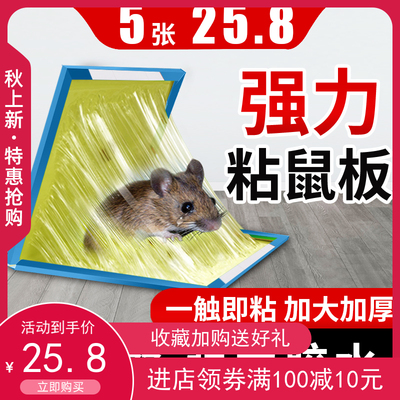 贴胶强力粘鼠板好逮大老鼠贴