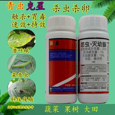 真格异军茚虫威灭幼脲菜青虫杀虫