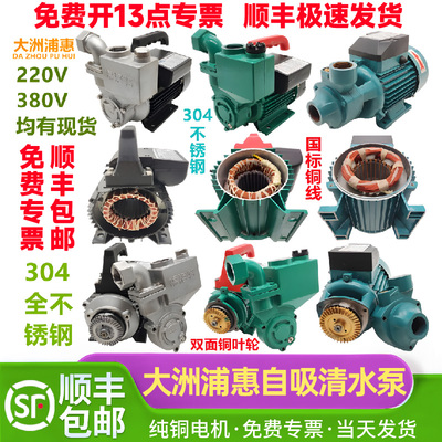 皇球大洲浦惠铜叶轮国标铜线自吸