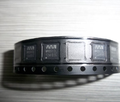 WM8903L WM8974G WM8960G WM8973G WM8955B WM8950G