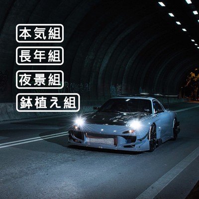 jdm盆栽防晒反光贴纸