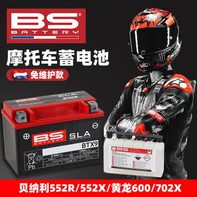 法国进口大功率免维护自放电率低