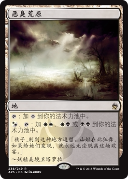 牌客窝 万智牌  恶臭荒原  Fetid Heath 金 地 闪