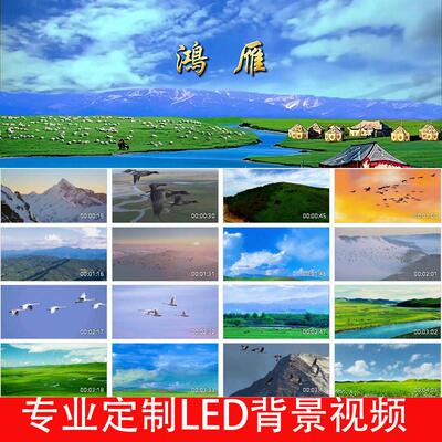 何遇程 - 鸿雁 (伴奏)降调伴奏241012LED大屏幕高清背景视频素材