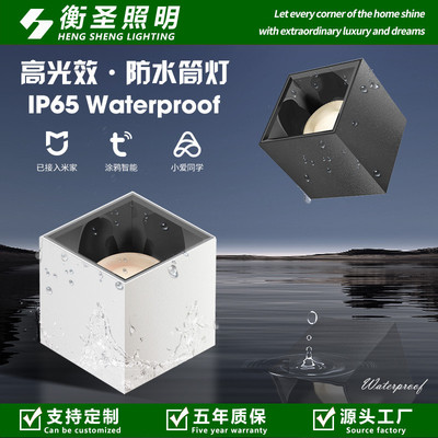 IP65明装防水筒灯卫生间厨房防水雾防潮天花灯吸顶高光效方形筒灯