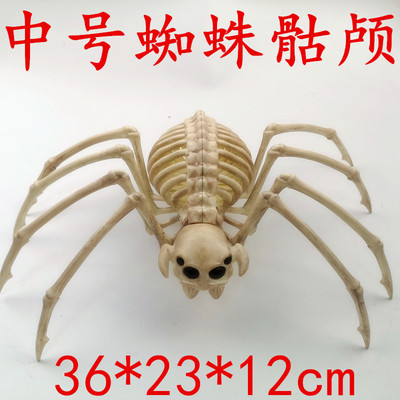 热销万圣节马良/蜘蛛骷颅场地布置道具spiderwire蜘蛛骷颅骨架