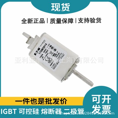 热销170m3814170m3815保护装置熔断器直流半导体电子元器件