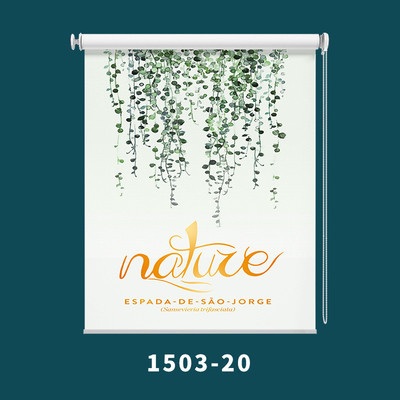 6buj客厅卧室浴室卫生间窗帘防水拉卷式免打孔遮阳帘防潮卷帘窗户