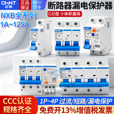 正泰NXBLE-63/32空气2P家用63A断路器32A开关带漏电保护器DZ47LE