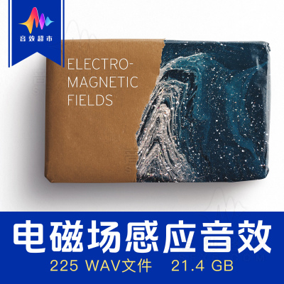 电流电磁频率感应音效 Edible Audio EMF Electromagnetic Fields