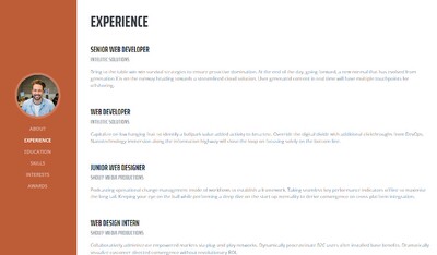 bbs265个人简历设计师模板