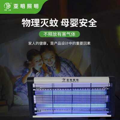 防水苍蝇捕杀户外灭蚊灯