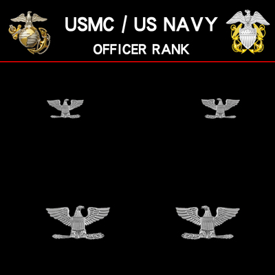 敕造军迷肩章制服领花