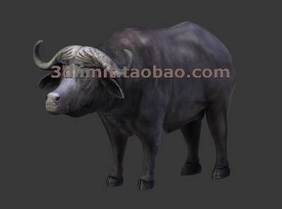 水牛模型obj格式带贴图适用于3dMax C4D 犀牛rhino Maya sketchup