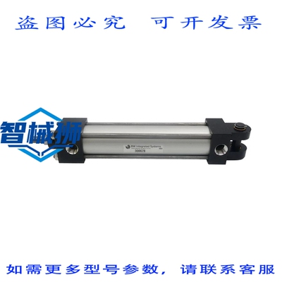 原装供应 BW集成系统 300678 NSNP
