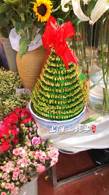 富贵笼绿植开运竹卢湾花店徐汇花店长宁花店静安花店上海鲜花速递