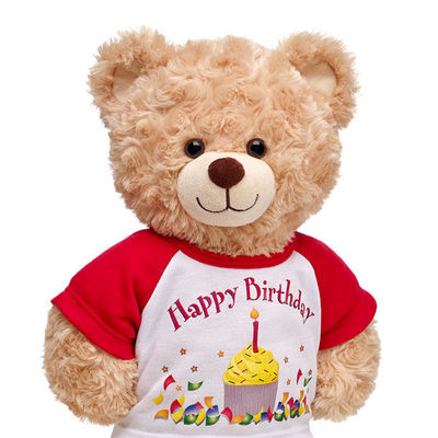 棉花娃娃泰迪熊Duffy Bear达菲熊毛绒玩具公仔玩偶蒙奇奇衣服T恤