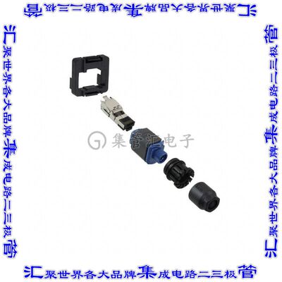 1987004-2 接插件连接器RJ45 PLUG,PUSH-PULL,ASSY,C AT5 ,