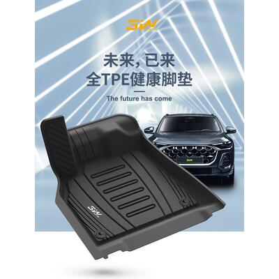 3W奥迪专用全TPE注塑脚垫