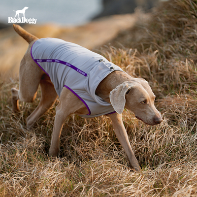blackdoggy雅未克户外降温背心狗狗夏季防晒透气凉凉衣背心冰袋款
