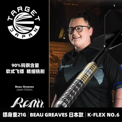 TARGET探极BEAUGREAVES日版飞镖