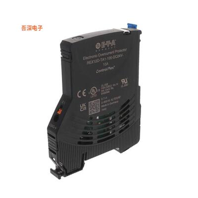 REX12-TA1-107-DC24V-10A  |正CIRC BRKR THRM品