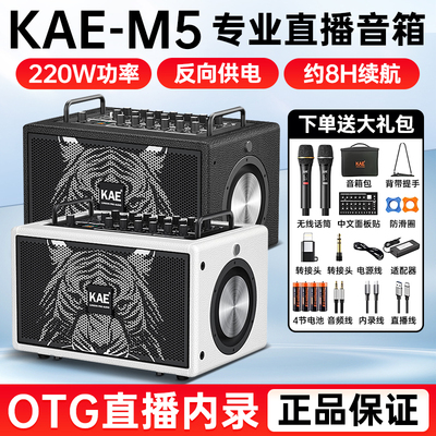KAEM5音箱电吹管吉他户外音响