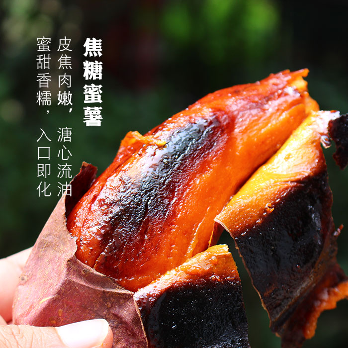 池见 云南红土高原蜜薯红薯番薯【蜜甜香糯,气味香甜】 5斤装
