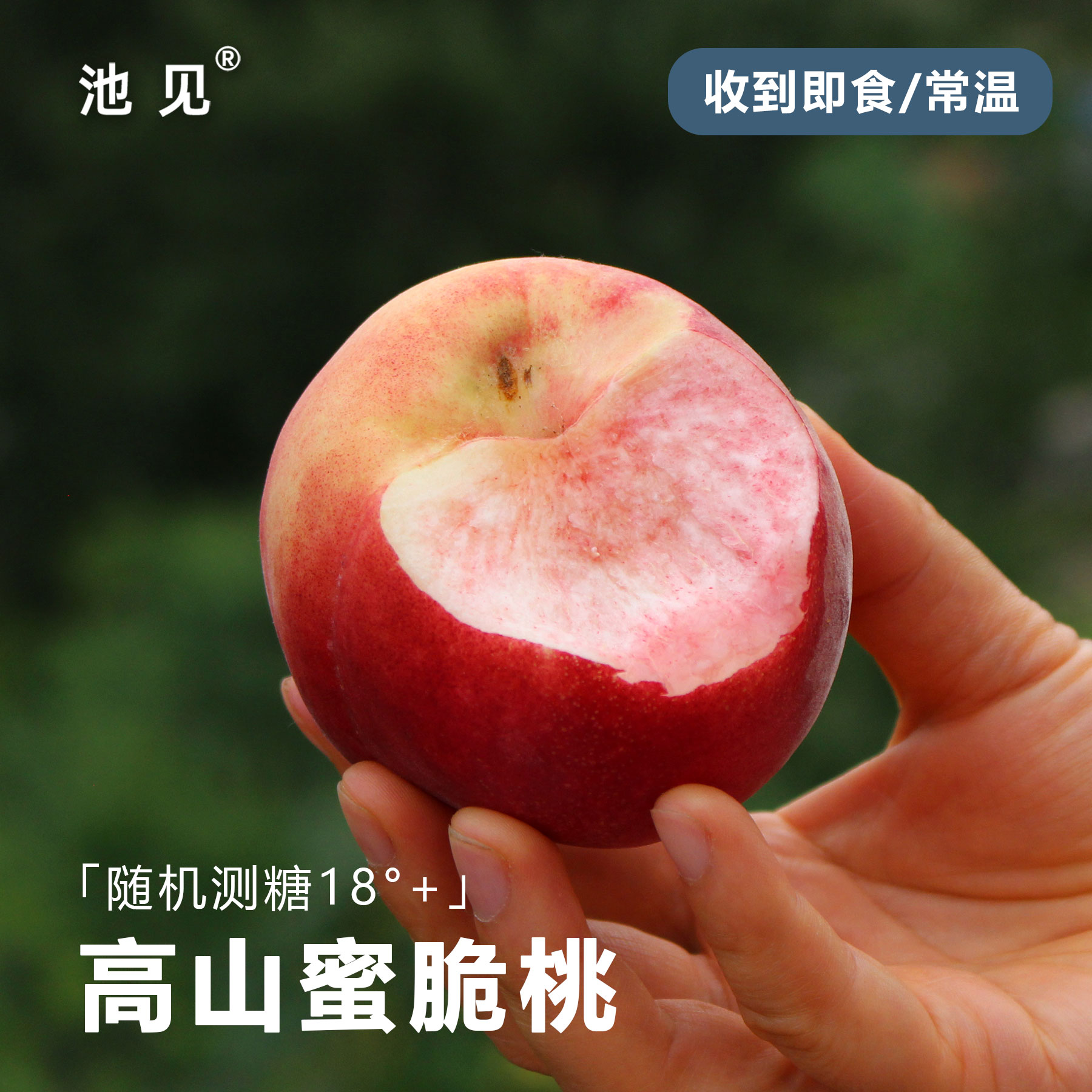 池见山东白月光高山蜜脆桃子酸甜硬脆红皮粉芯非离核孕妇水果新鲜