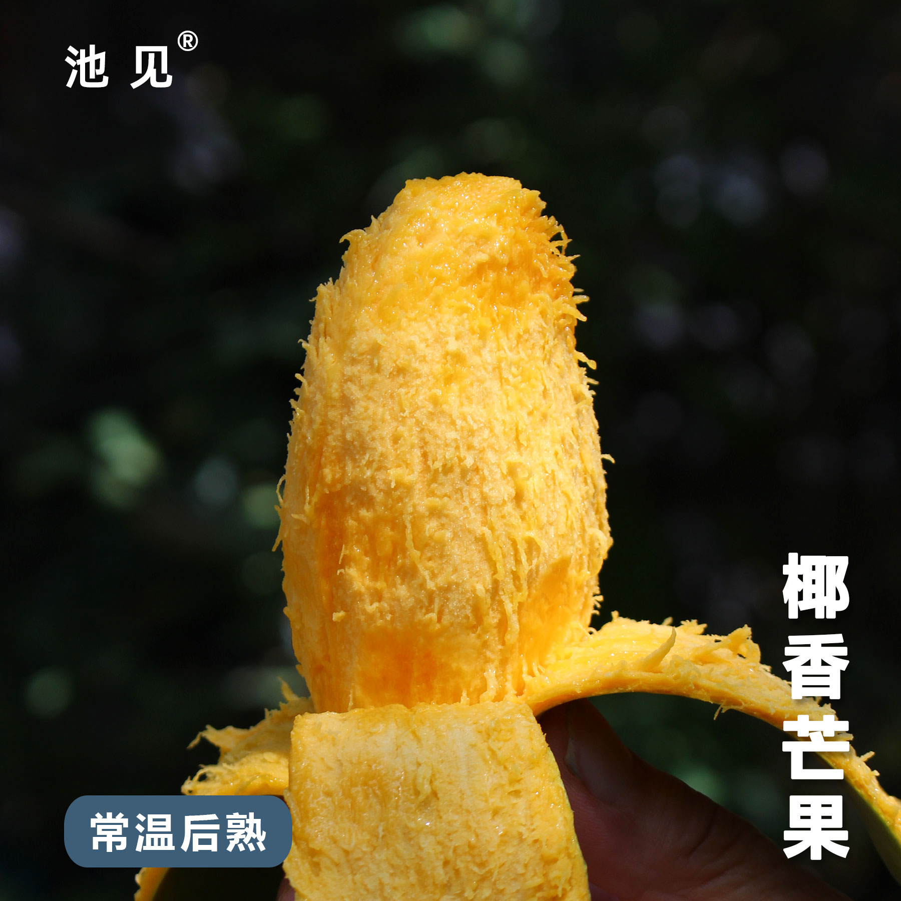 池见 高端芒果 四川攀枝花椰香芒果 椰奶香味浓郁 纯甜无酸