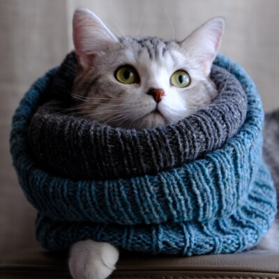 罗纹领圈DIY编织材料包