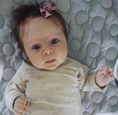 丹麦bow's发夹环保不含6cm蝴蝶结