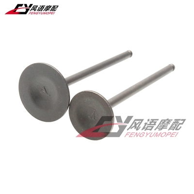 适用本田 AX-1 250 NX250 Dominator 气门1对