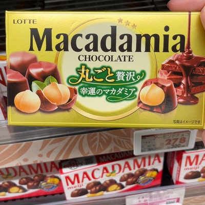 【拼邮】乐天macadamia榛子仁巧克力