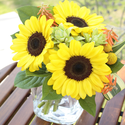 进口鲜切花向日葵太阳花家庭用
