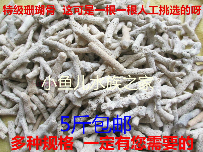 珊瑚沙水族鱼缸过滤材料底沙装饰优质珊瑚沙珊瑚石珊瑚砂散装500g