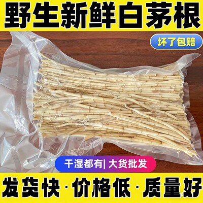 山东野生新鲜白茅根500g包邮