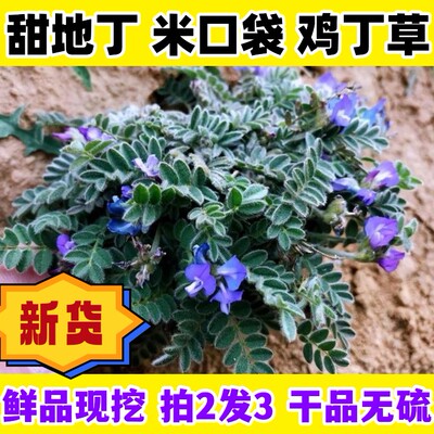 正品野生新鲜无硫磺熏