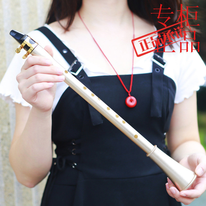 ㊣IRIN降E调萨黑管ABS迷你单簧管初学吹奏乐器迷你口袋萨克斯批发