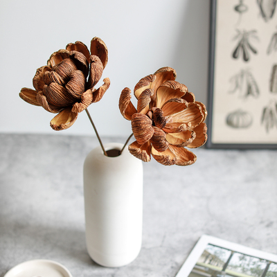 进口油画果壳干花禅意摆件