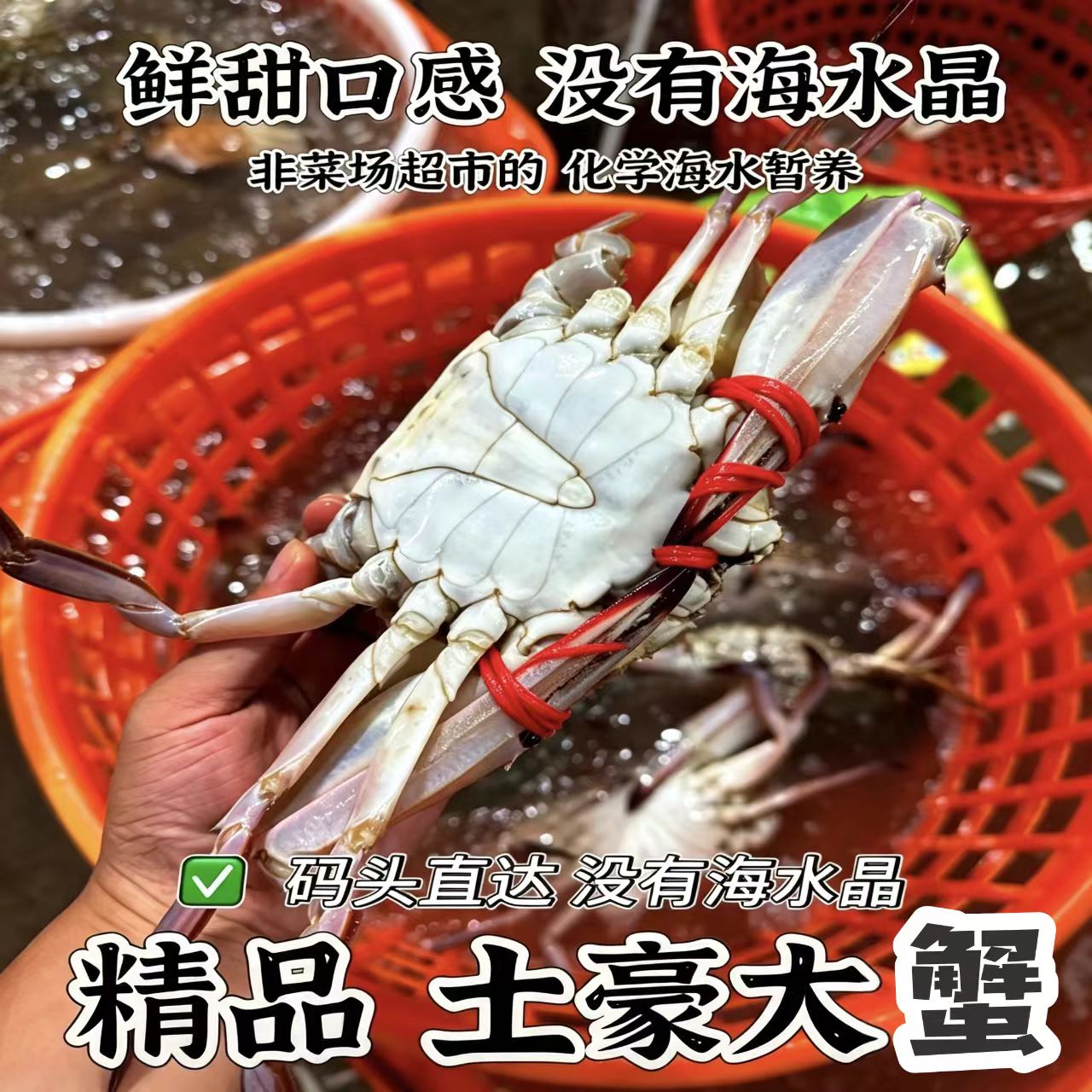 【保鲜不保活】莱州湾梭子蟹活发红膏蟹特大海蟹特大螃蟹母蟹海蟹