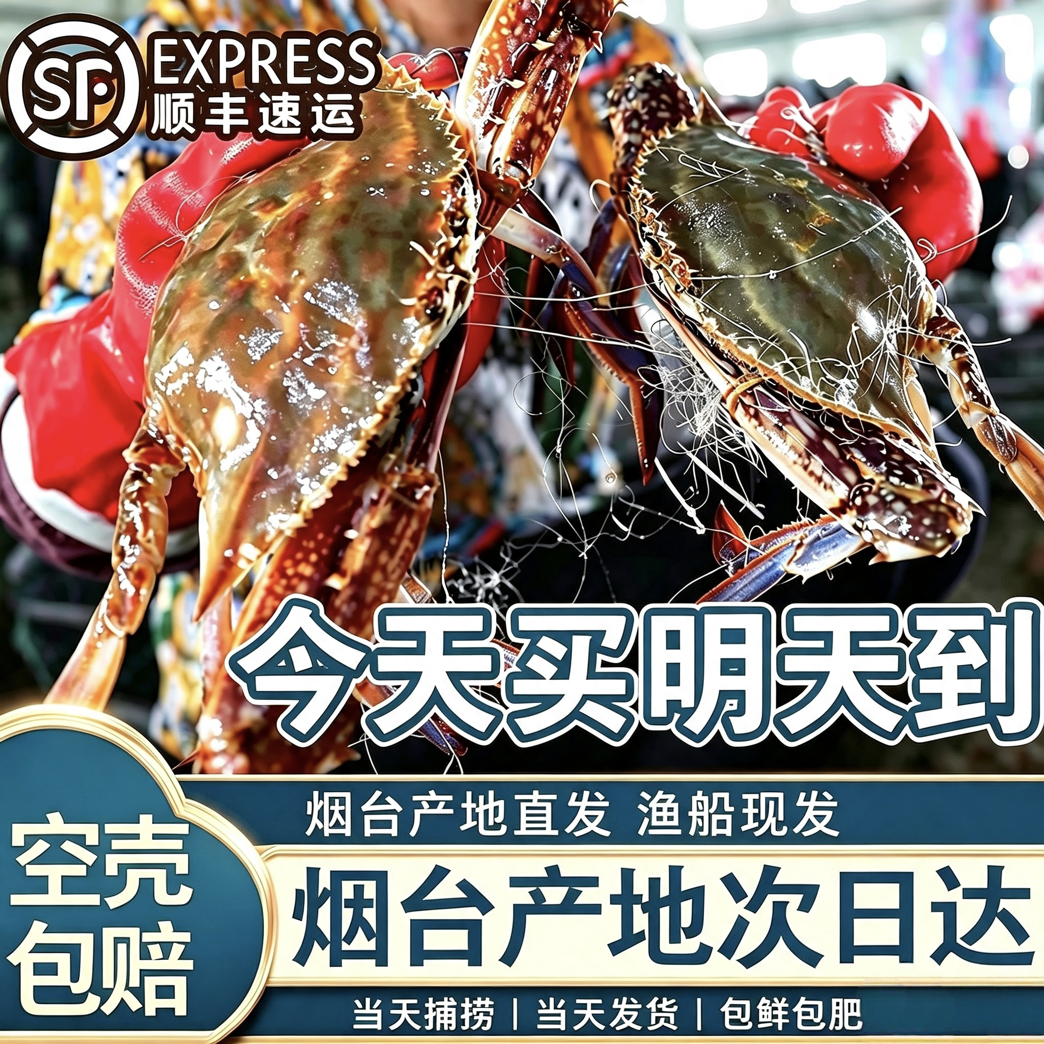 【保鲜不保活】烟台梭子蟹活发新鲜特大白蟹公蟹莱州飞蟹海蟹螃蟹