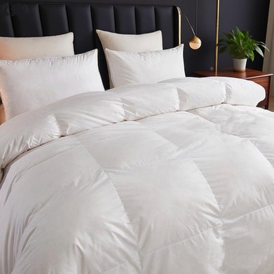 羽绒被子定做尺寸220x260x240x270x230鹅绒冬芯被300x250x280x248