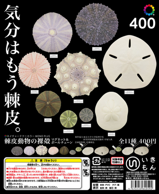 日本ikimon挂坠海胆棘皮动物扭蛋