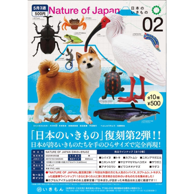 虾壳社 现货日本IKIMON扭蛋 日本的动物第二弹 摆件 柴犬 树蛙 龟