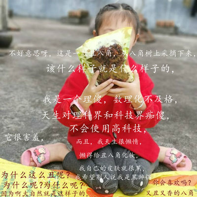 我很丑，但我很香！不熏妆天然晒干的八角大料土山货无硫淳朴原味