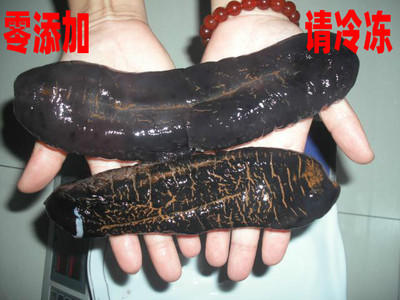 七八成海参皮光参黑水黄皮
