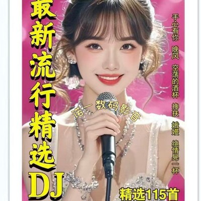 新流行精选DJ歌曲U盘音频TF卡搀扶 晚风 手心有你 空荡的酒杯优盘