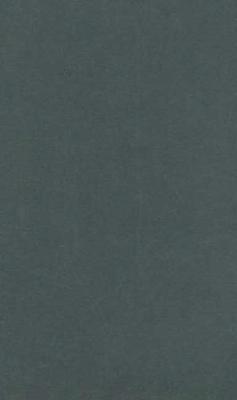 【预售】Sibling Relationships: Theory and Issues for